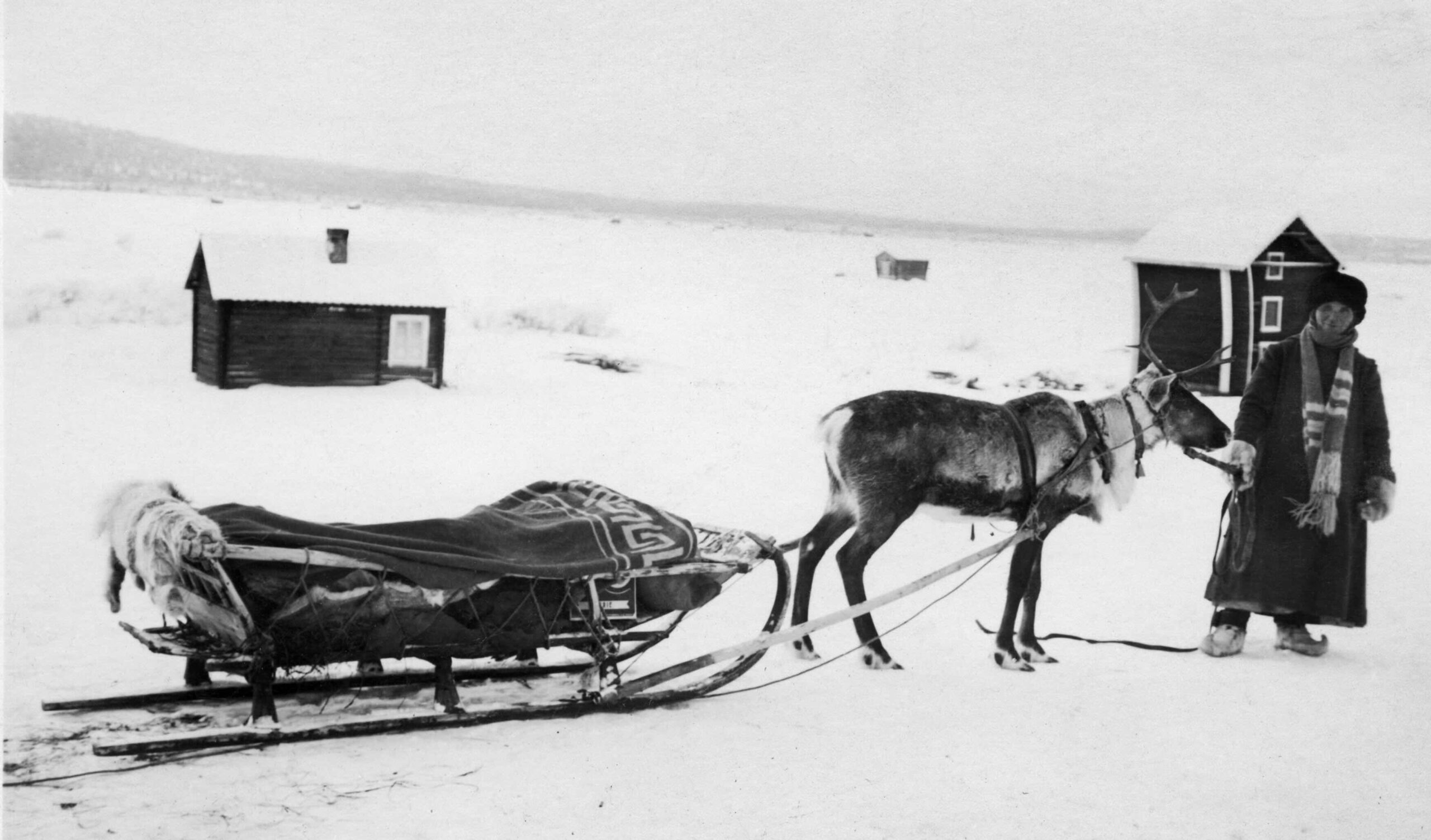 History of Kuoksa Reindeer Stories - StayLapland