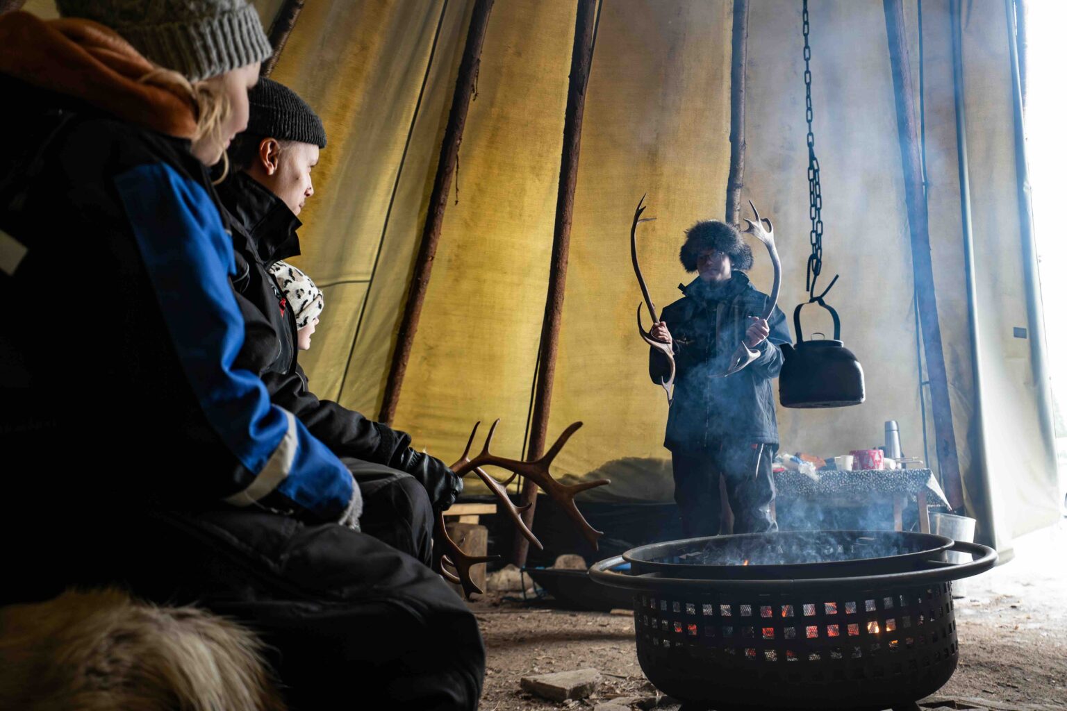 Reindeer in a nutshell - StayLapland