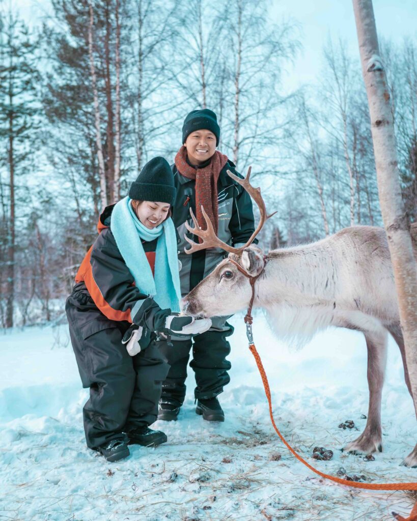Ice Fishing with Reindeer - StayLapland