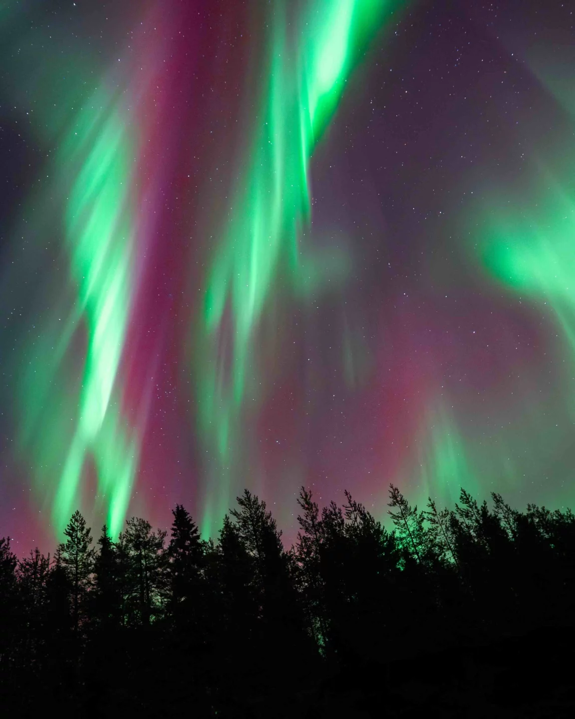 Private Northern Lights Tour At The Campfire - StayLapland