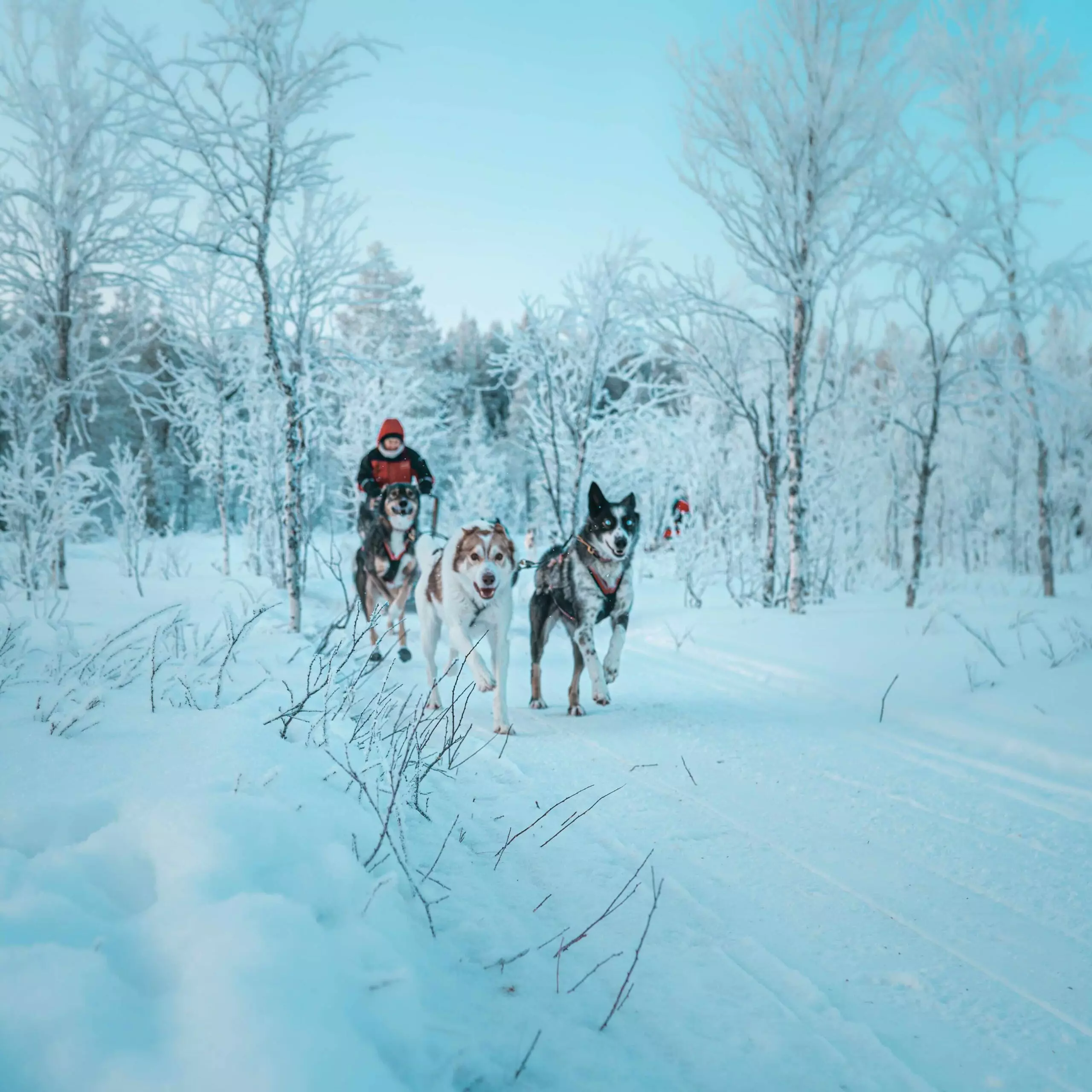 See Yourself - Story of Kuoksa Wilderness Park