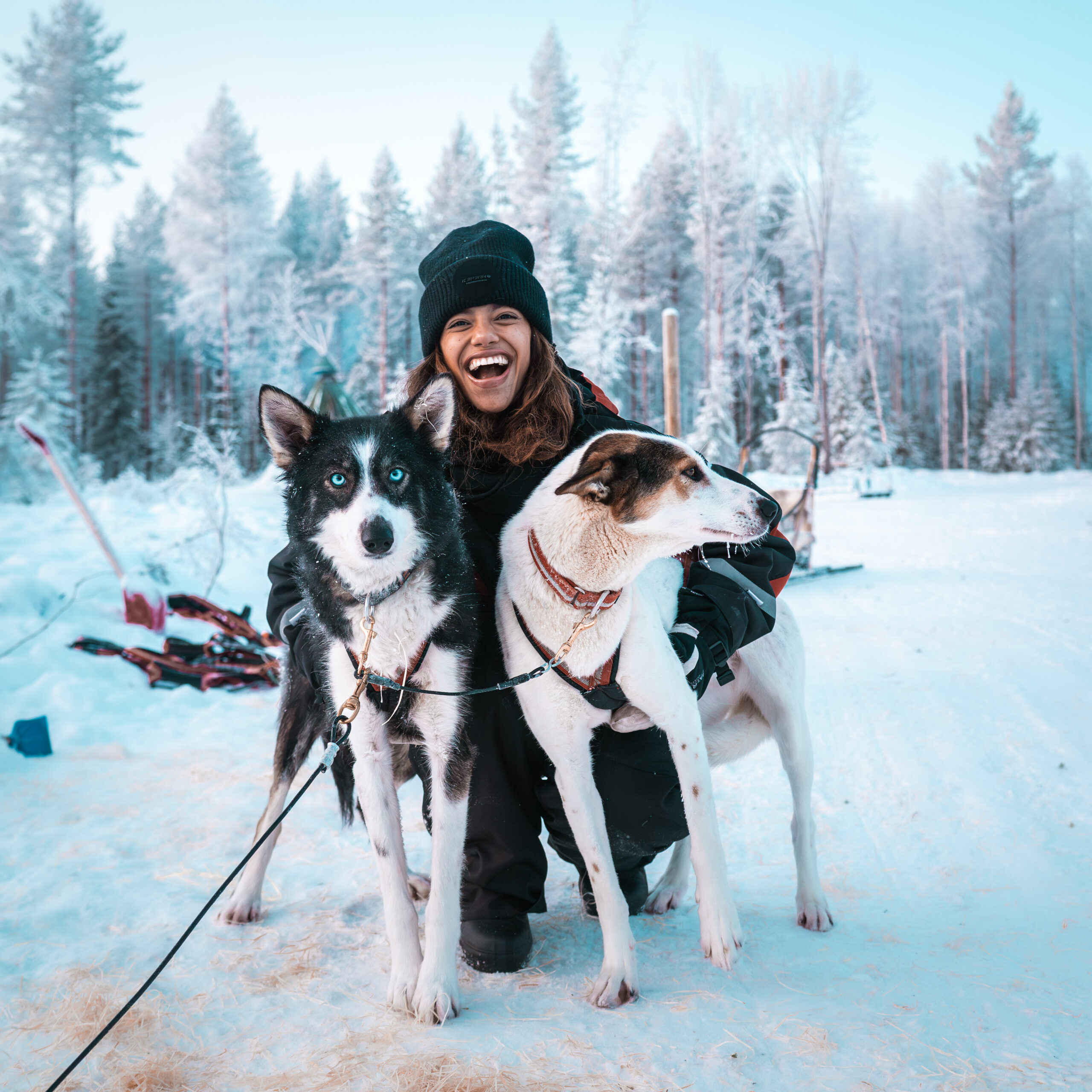 Husky Tours in Rovaniemi – Your Complete Guide to the Ultimate Husky ...