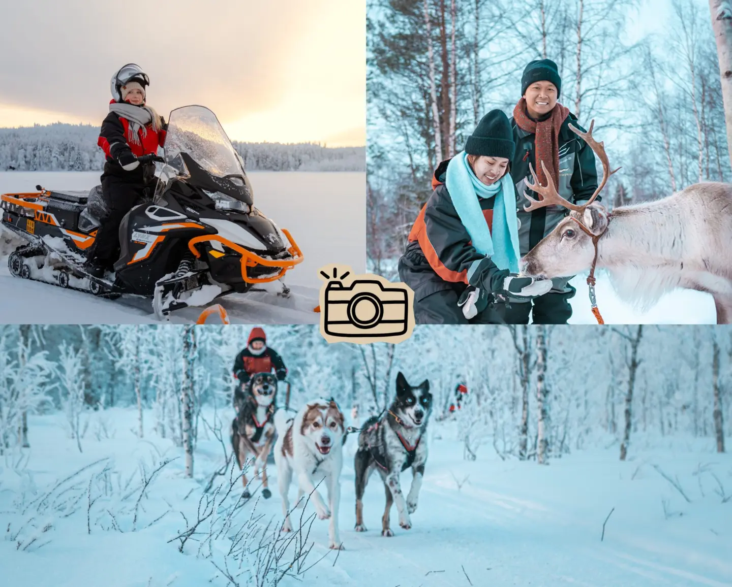 How do huskies survive in the cold? - StayLapland